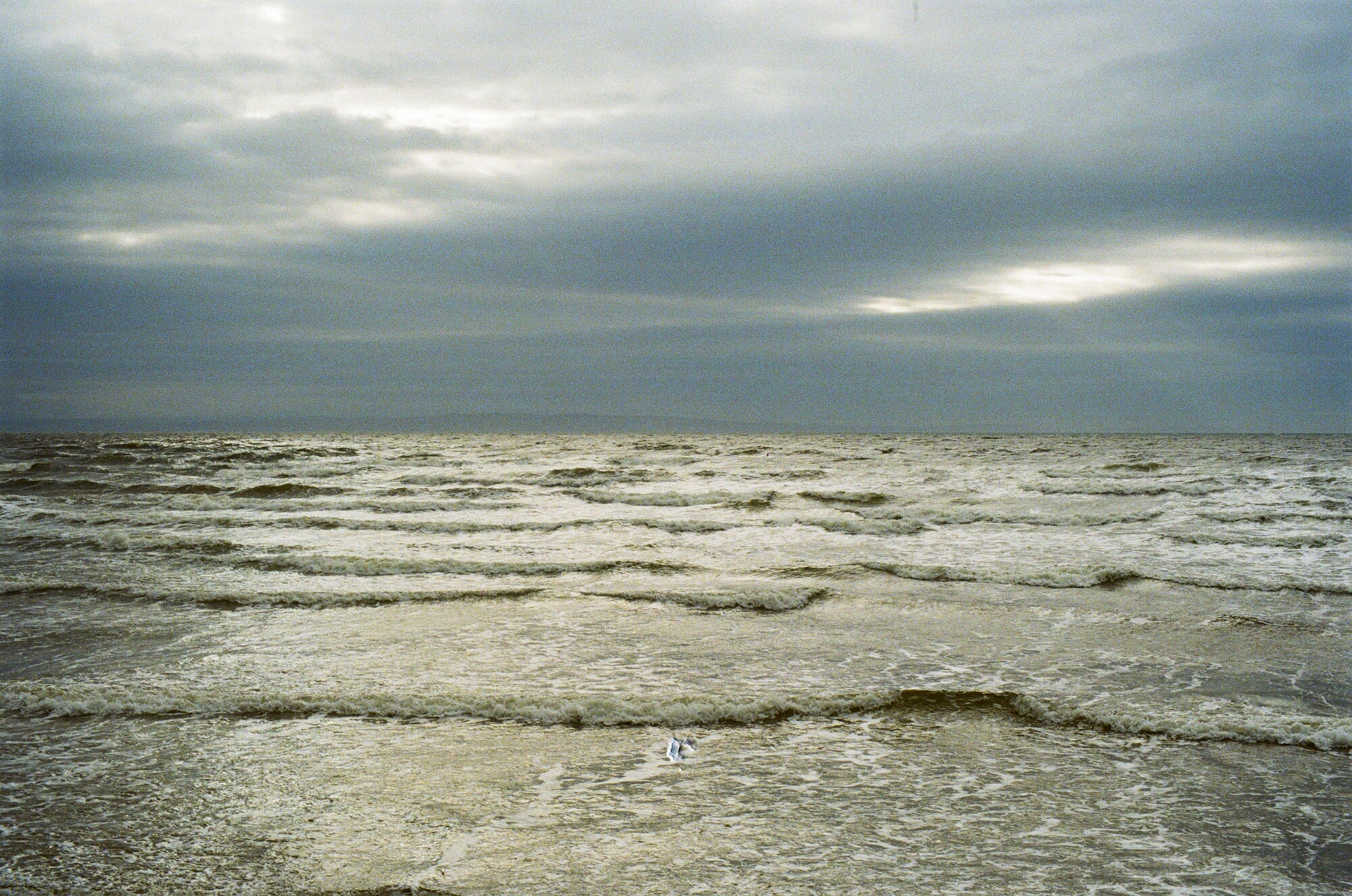 Accumulation - Adam Bobbette - Shells and Shell