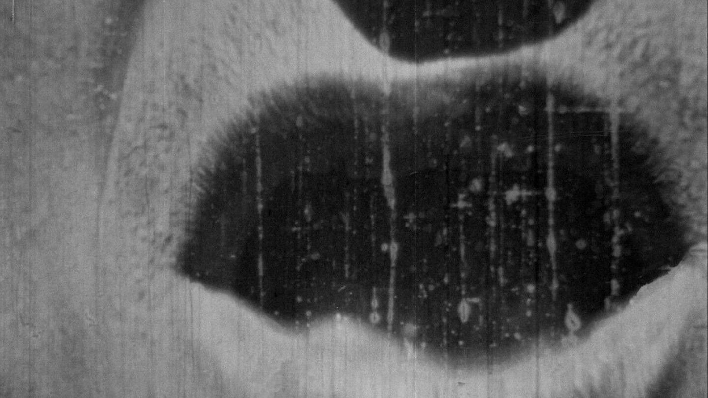 Eat the Camera, Feed the Screen - Journal #133