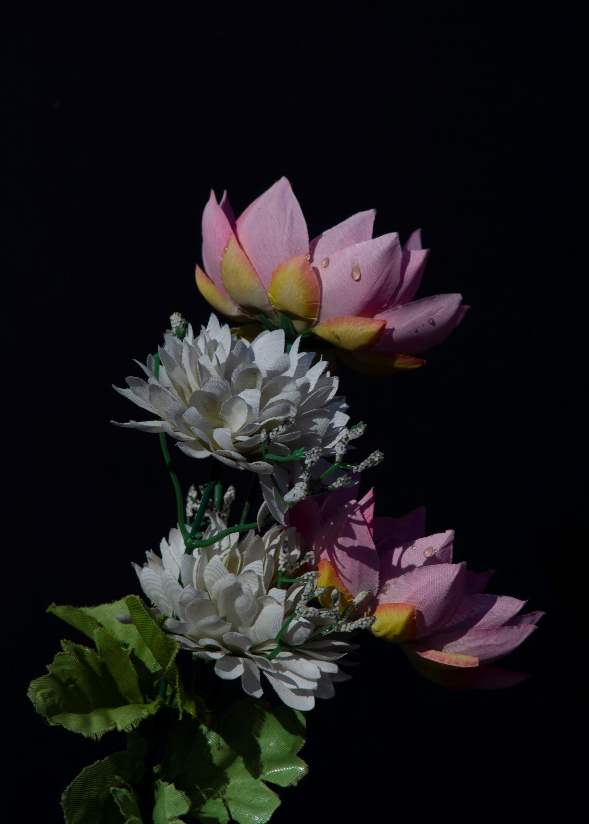 Sakiko Nomura: Tender is the night - Announcements - e-flux