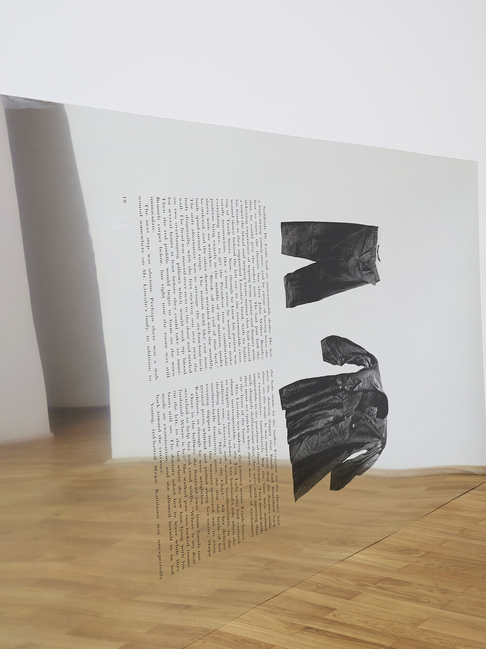 Cady Noland - Features - art-agenda