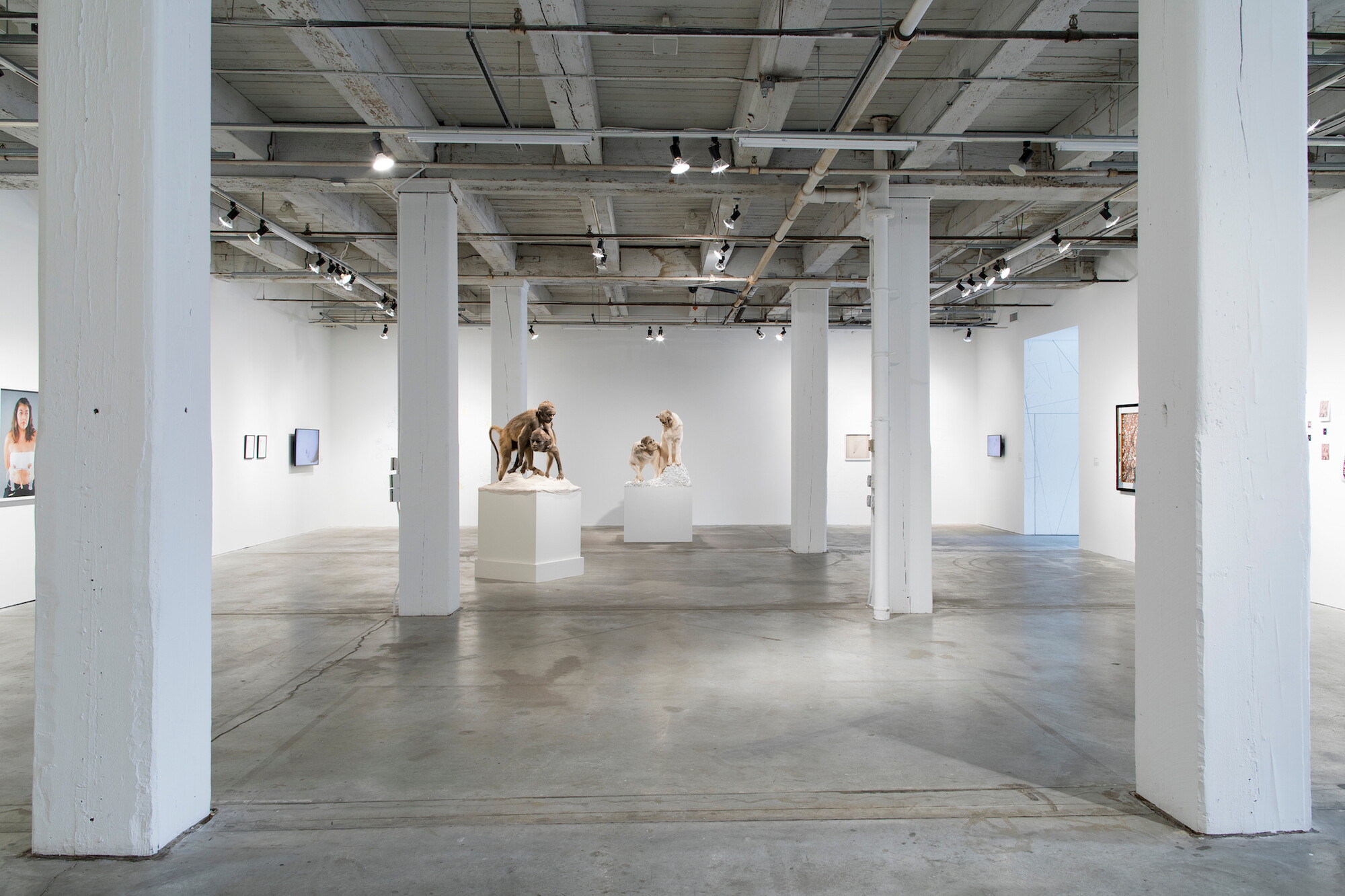 Open call: Curator-in-Residence program - e-flux Education Open call: Curator-in-Residence program - e-flux Education