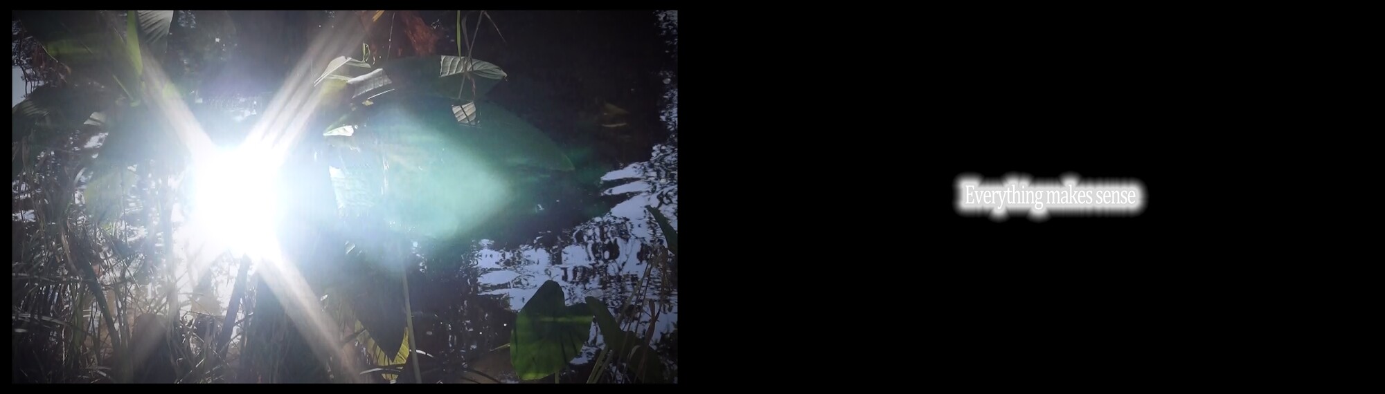 Against the Light - Announcements - e-flux