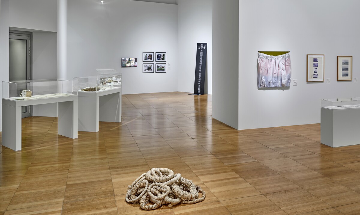 NYU Abu Dhabi Art Gallery - Directory - e-flux NYU Abu Dhabi Art Gallery - Directory - e-flux