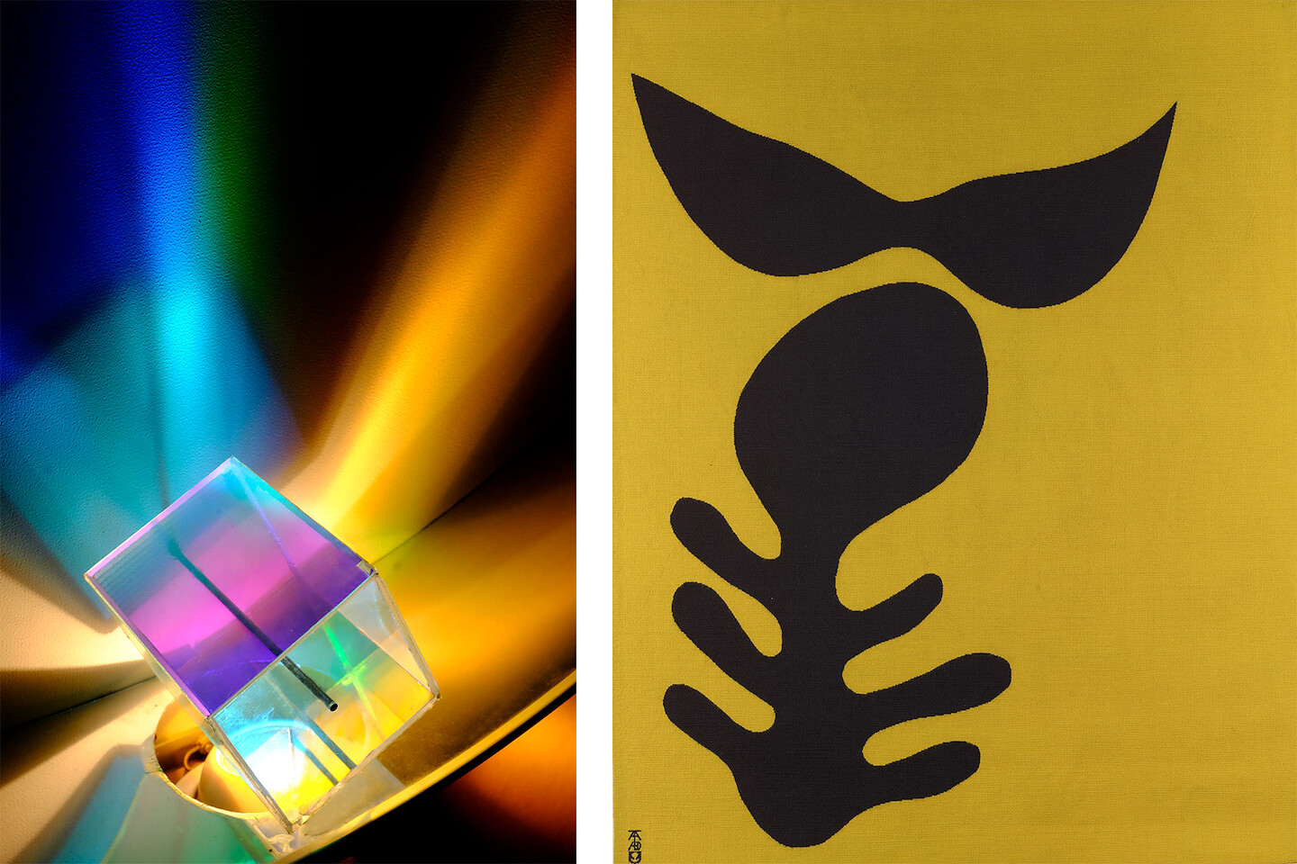 Swissarts Zarina Georgitsa Set 13 ADELAIDE FESTIVAL