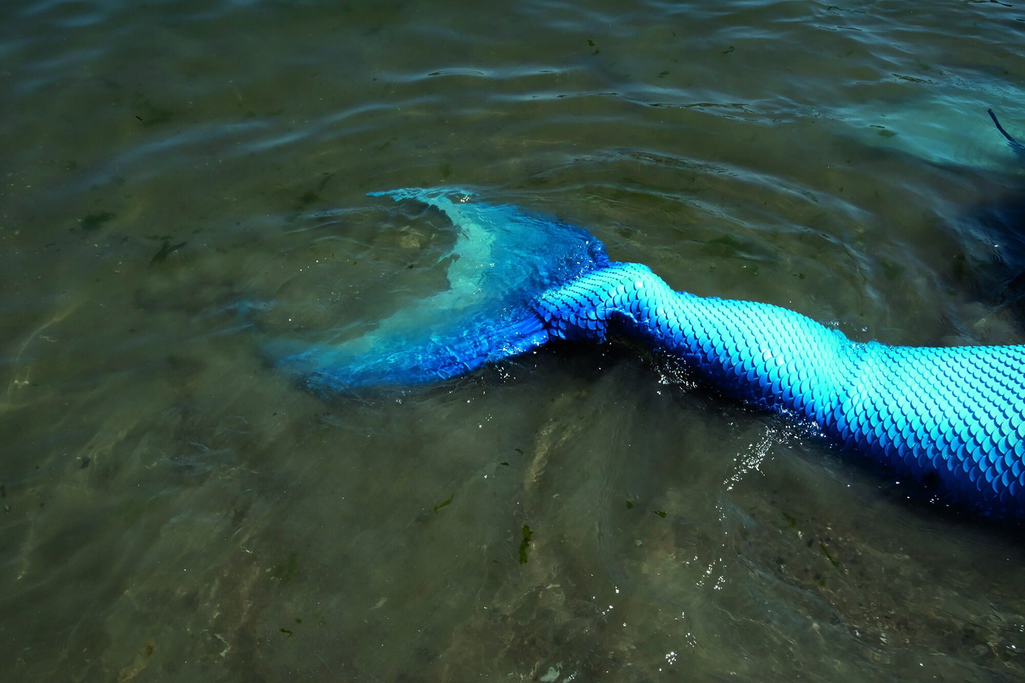 International Center of Photography (ICP) Summer Masterclass in Visual ...