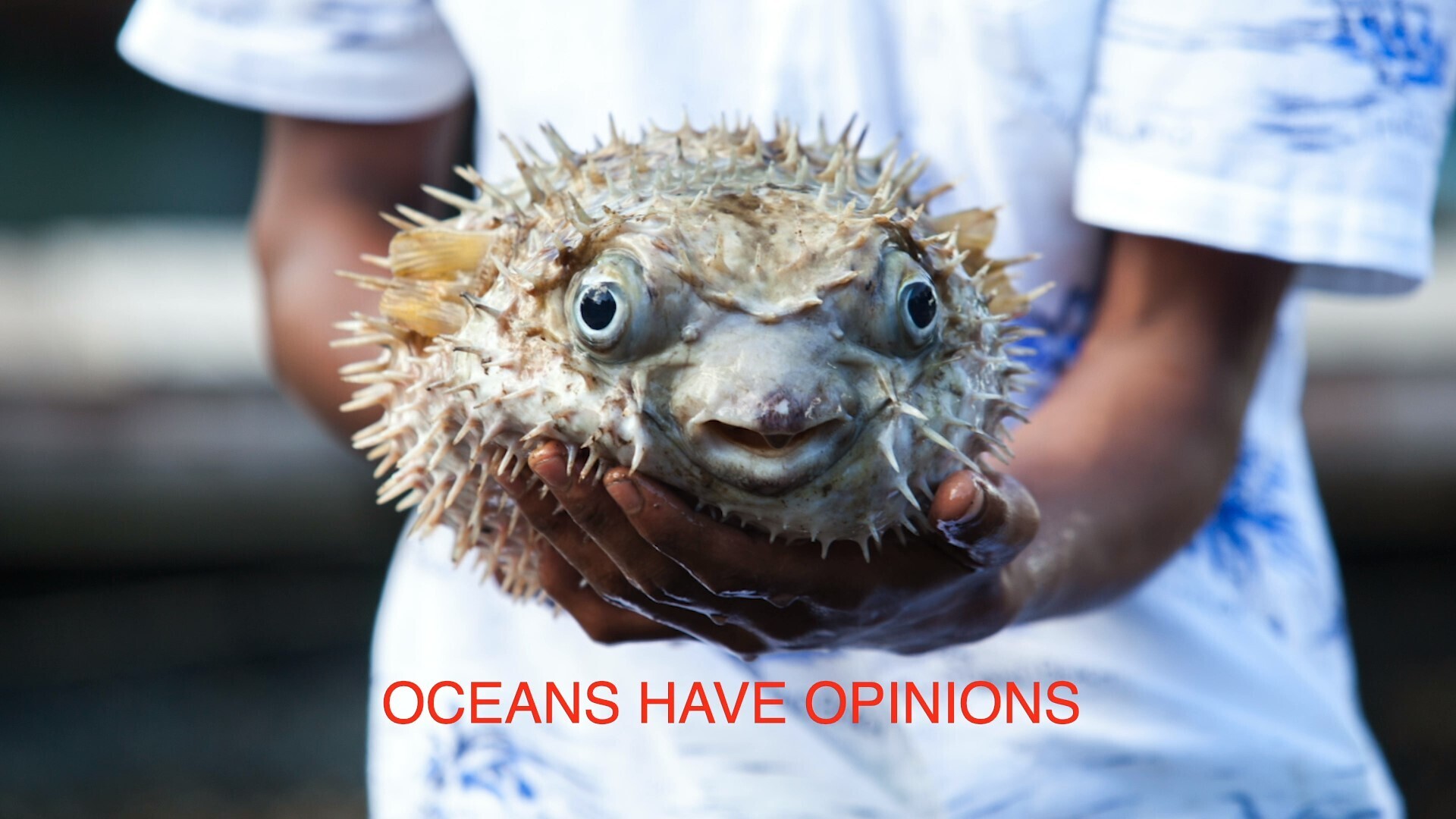 Voices (towards other institutions) #18 / Chus Martinez & Markus ...