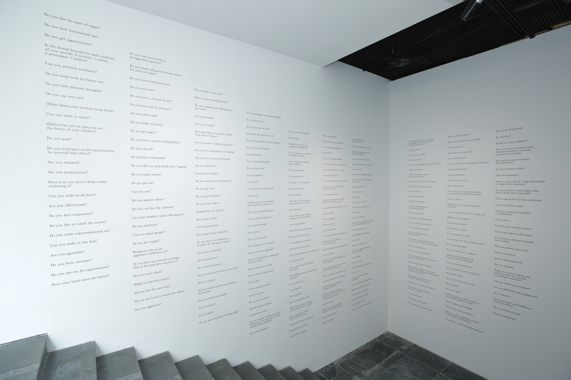 Research-Based Curatorial Project 2021 - e-flux Education