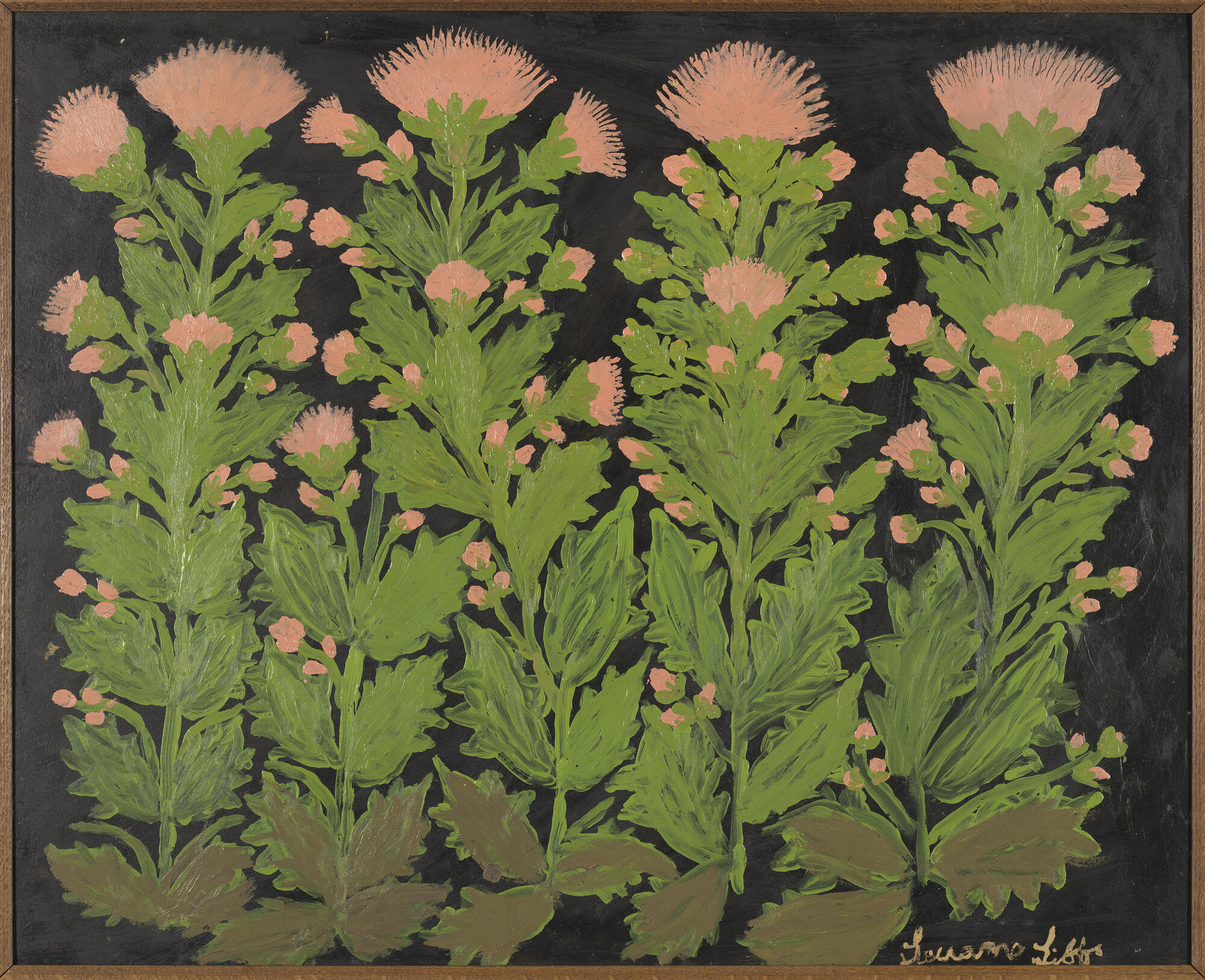 Dale Harding: There is no before / Teuane Tibbo, Ani O'Neill and Salome ...