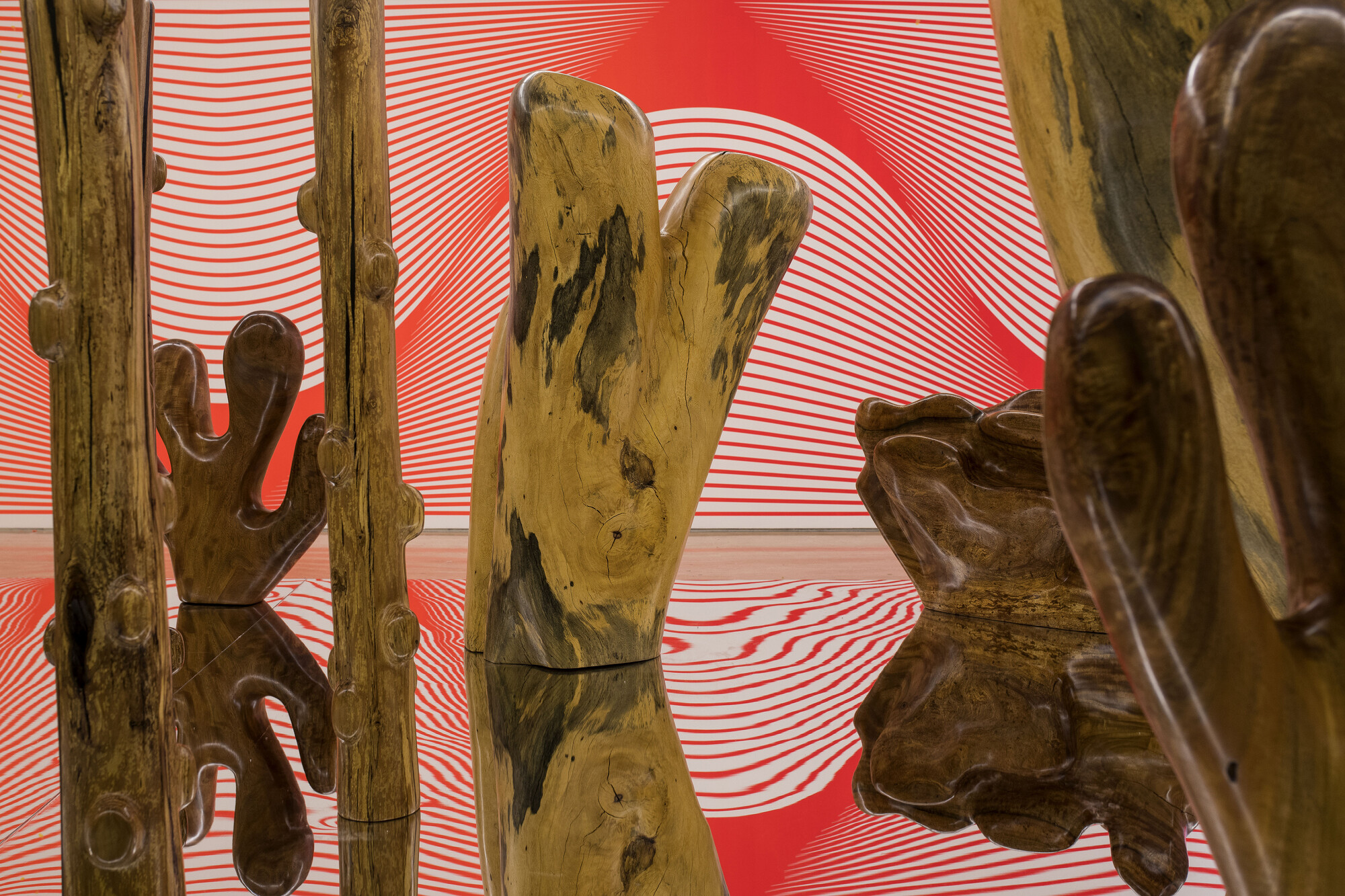Claudia Comte: After Nature - Announcements - e-flux