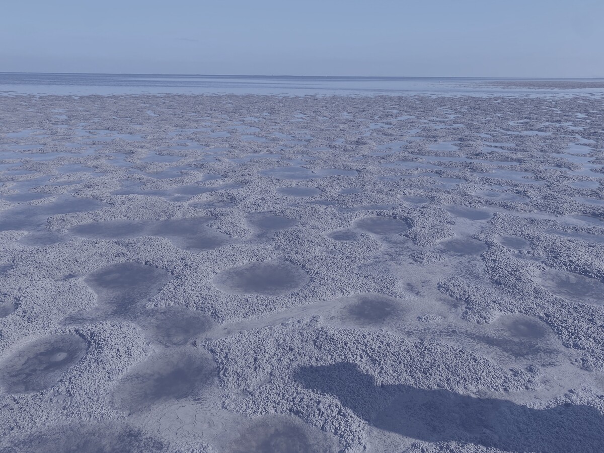 The Clam’s Kiss | Sogi a le faisua - e-flux Education