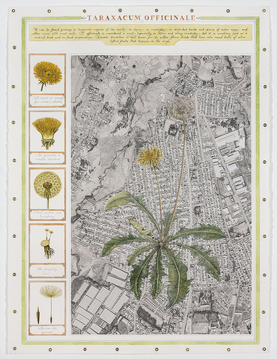 Eugenio Tibaldi: Temporary Landscape - Announcements - e-flux