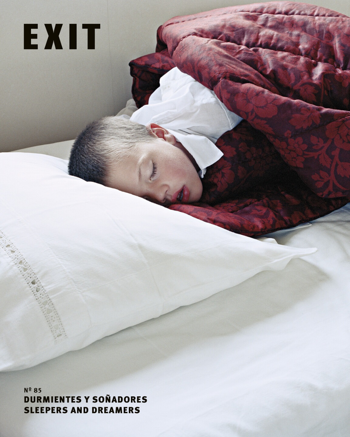 Issue 85: “Sleepers and Dreamers” - e-flux Agenda