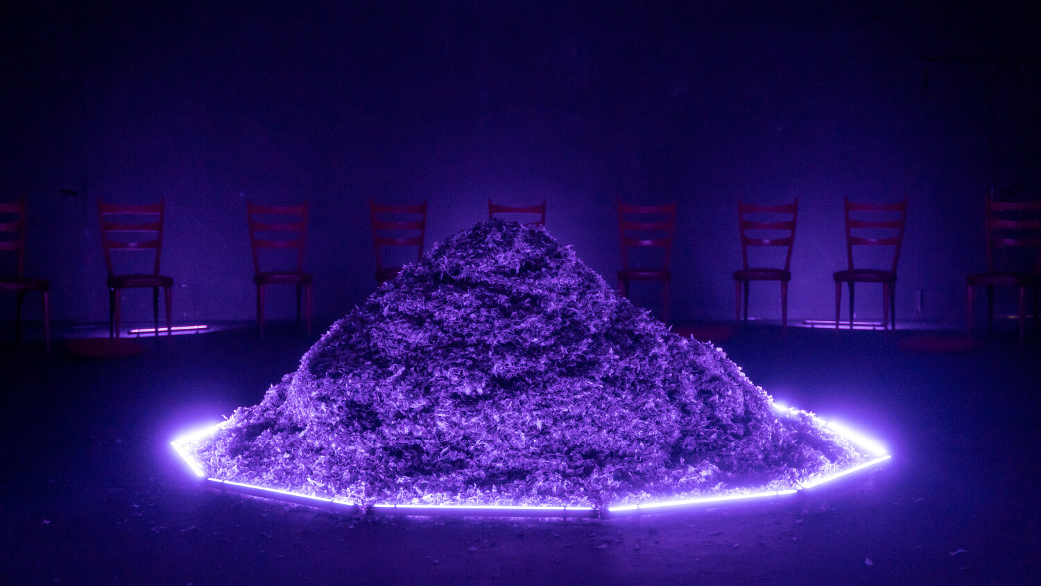 re-creatures: a new movement of artistic appearances - Announcements ...