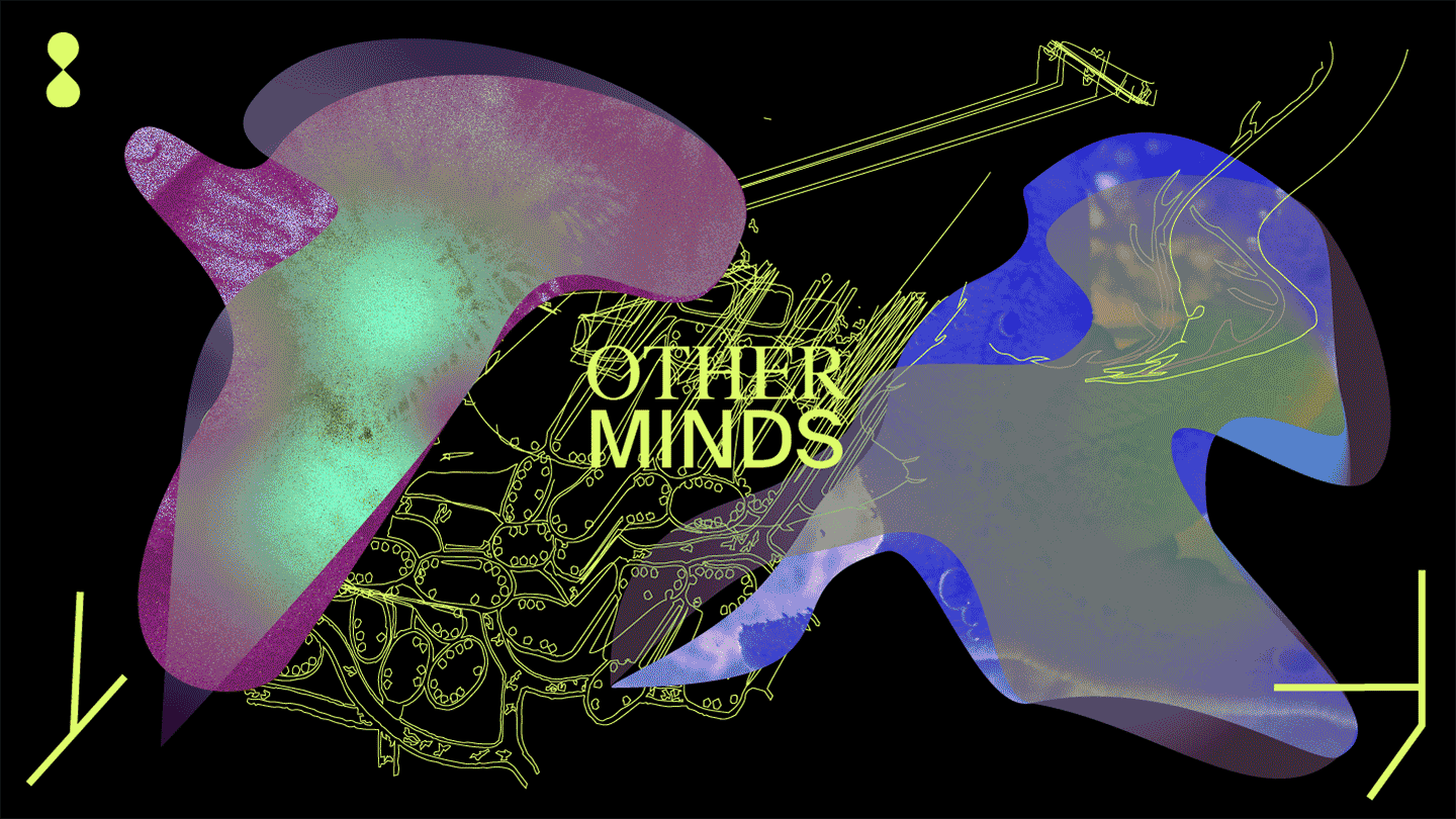 Screen City Biennial 2022: Other Minds - Announcements - e-flux