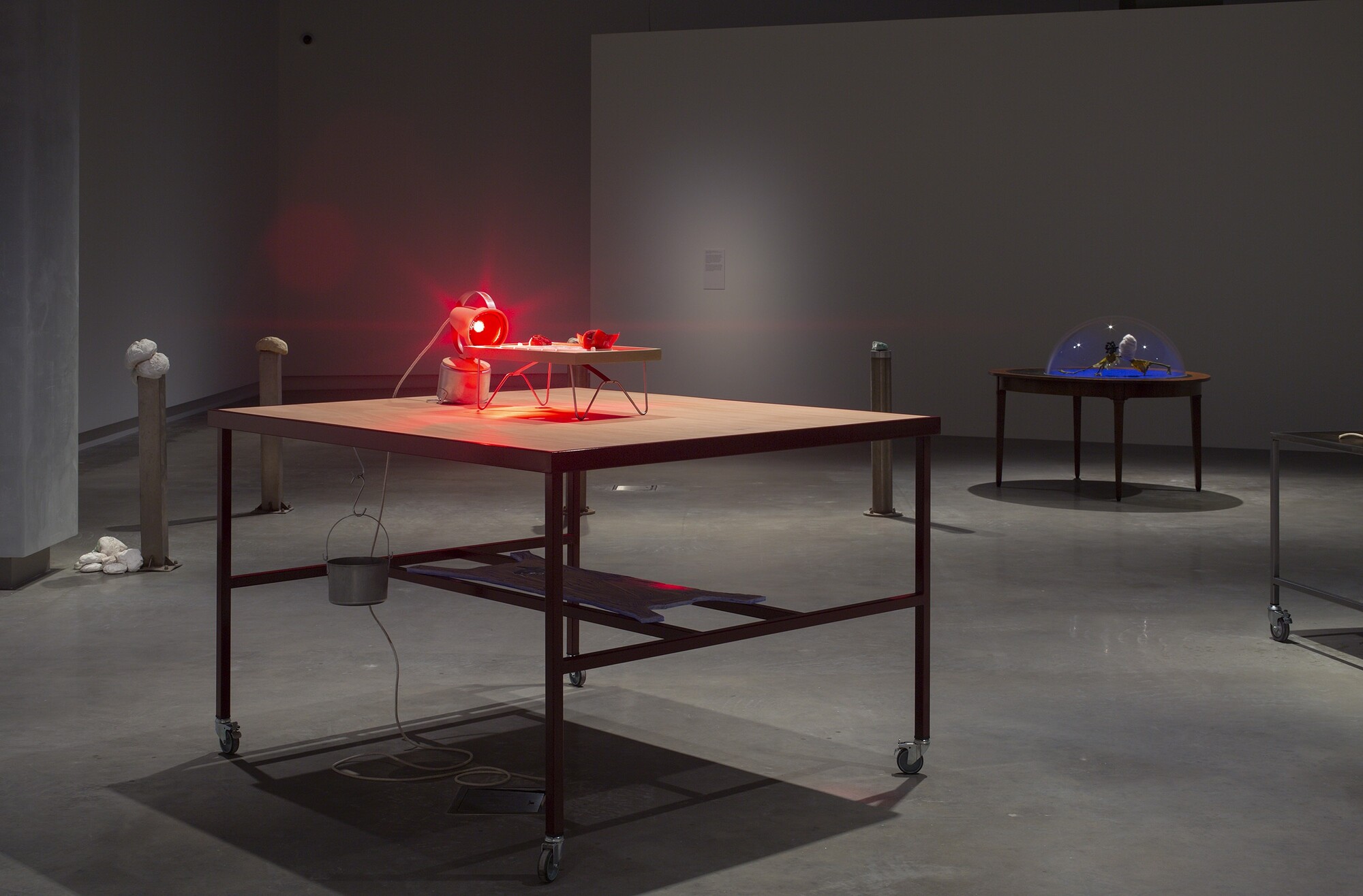 Susan Jacobs: The ants are in the idiom - Announcements - e-flux