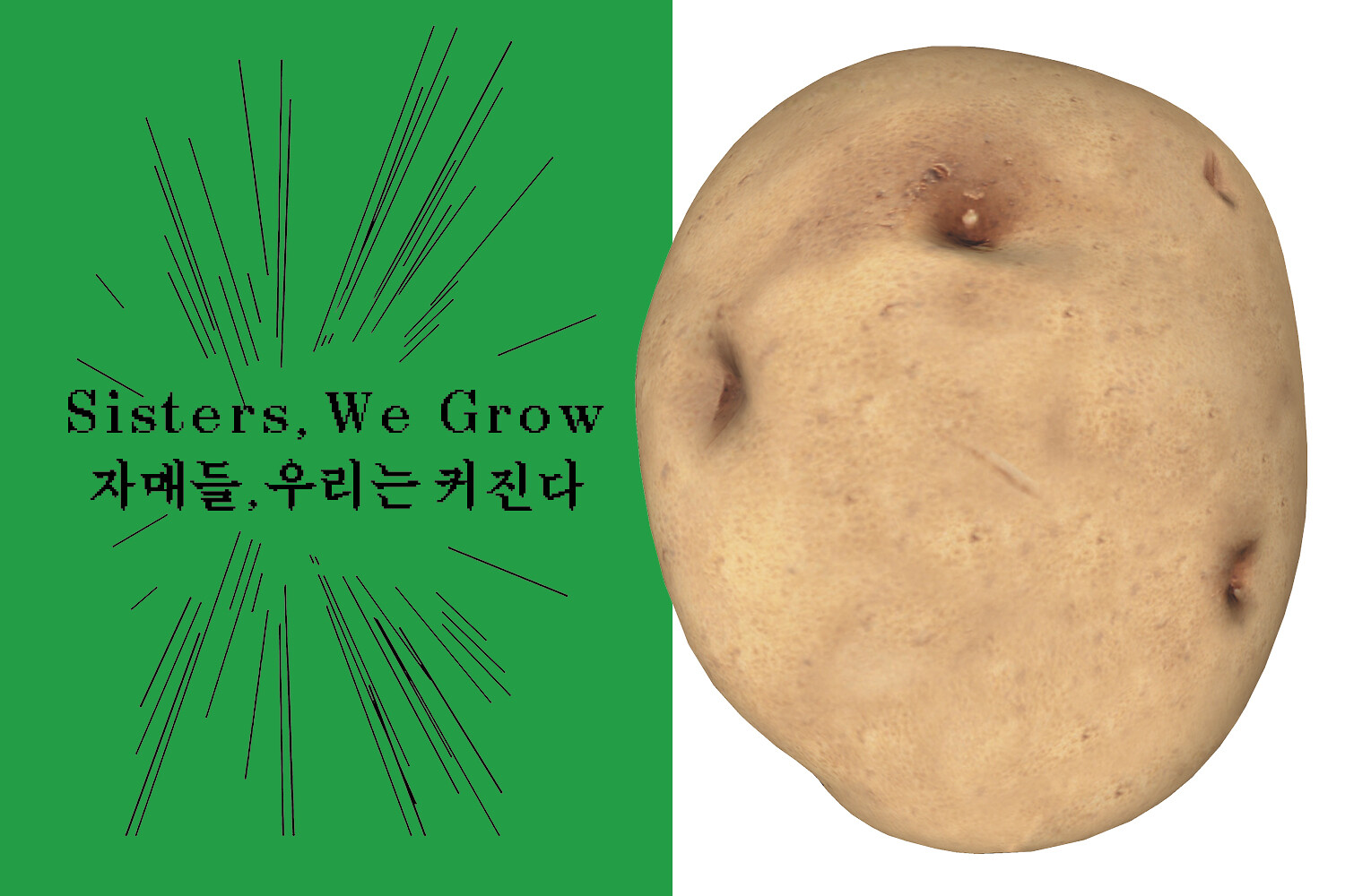 Sisters, We Grow - Announcements - e-flux