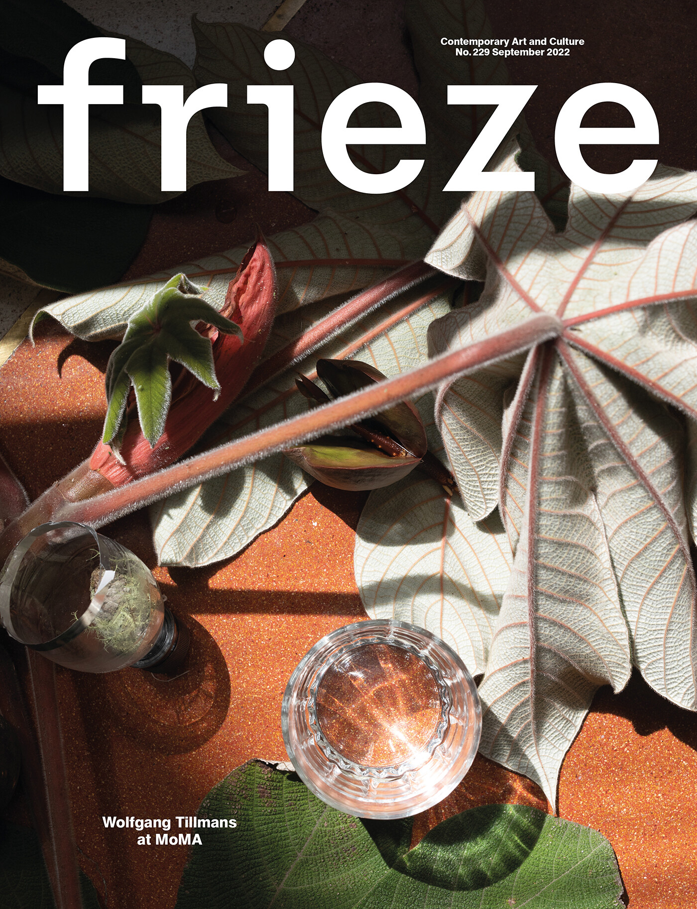 Issue 229 Out Now Announcements E Flux 5104