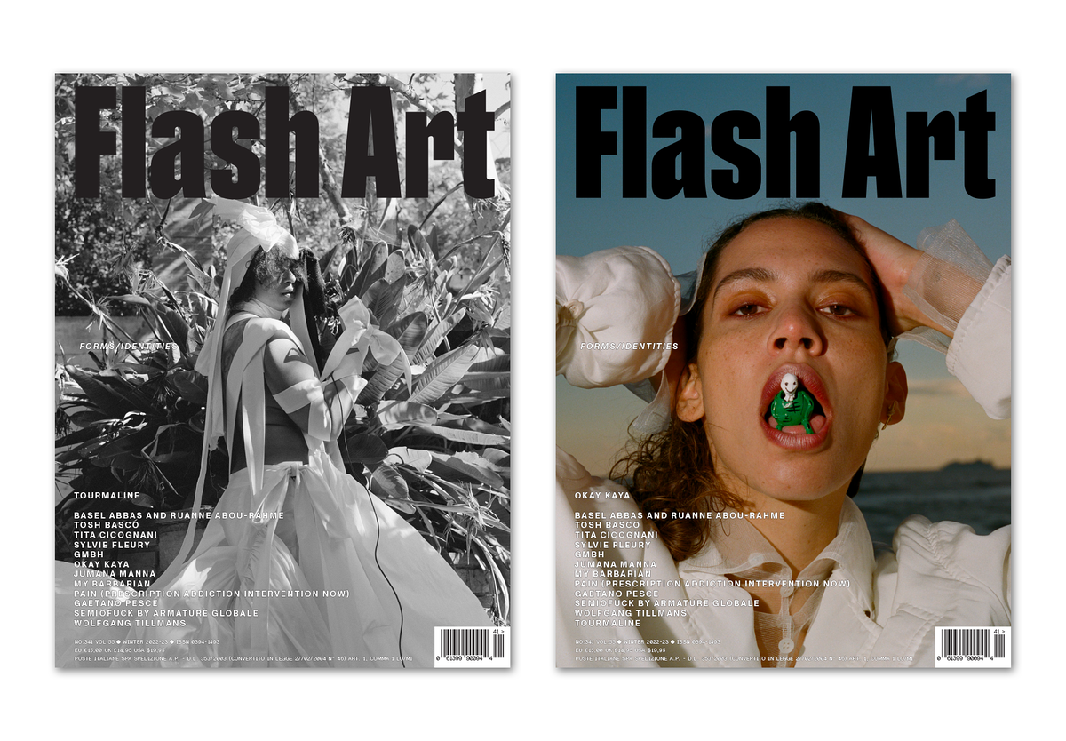 Issue 341 Formsidentities Winter 202223 E Flux Agenda