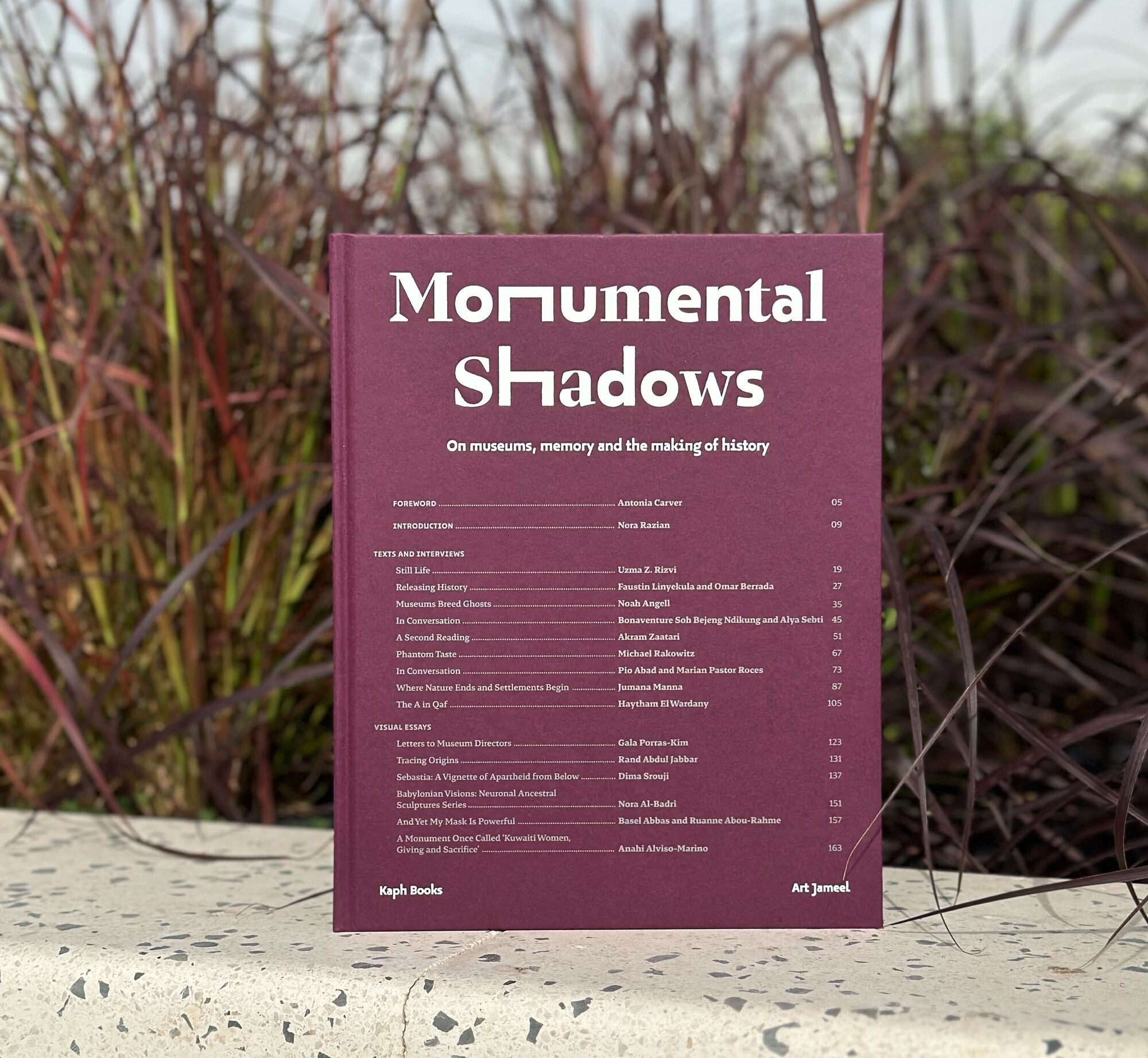 Monumental Shadows: On museums, memory and the making of history - Announcements - e-flux