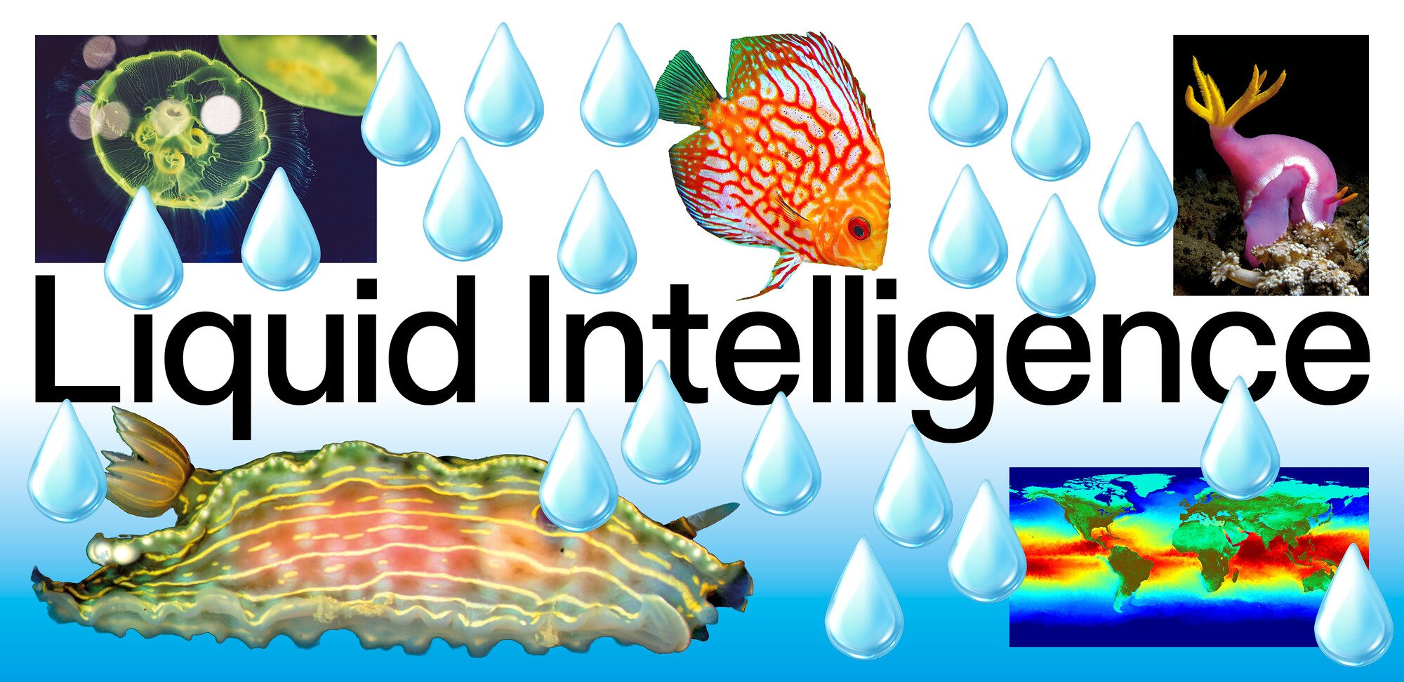Liquid Intelligence - Announcements - e-flux