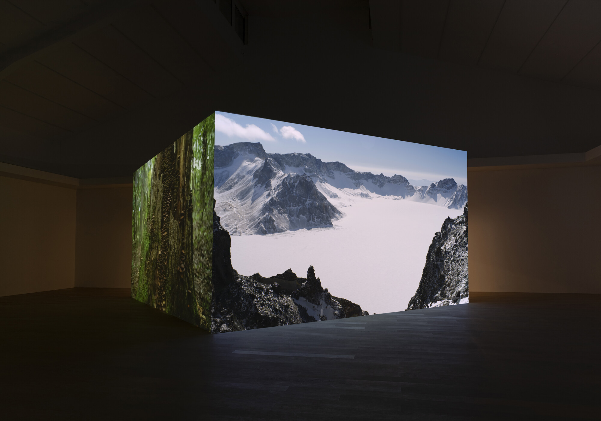 Liu Yujia: A Darkness Shimmering in the Light - e-flux Agenda