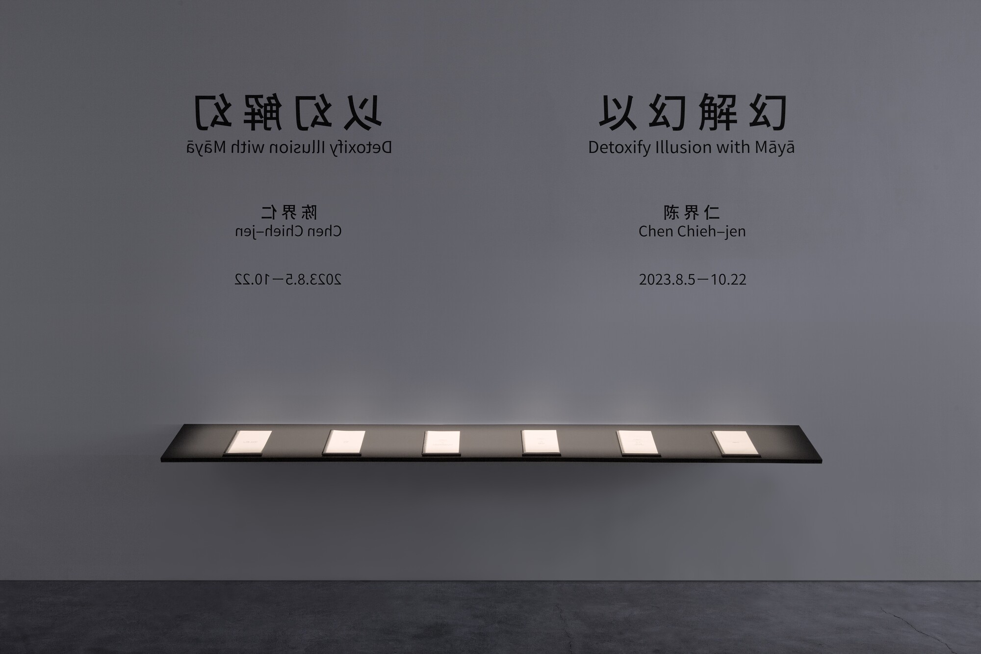 Chen Chieh-jen: Detoxify Illusion with Māyā - e-flux Agenda