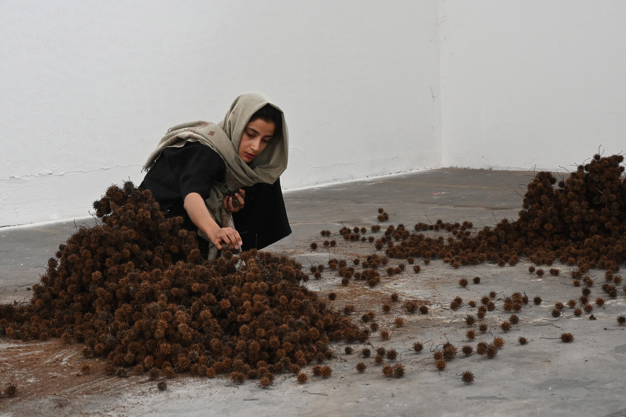 Master of Arts in Public Spheres (MAPS) - e-flux Education