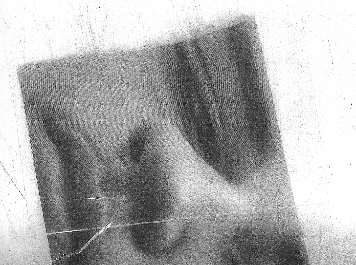 Half & Half - e-flux Education