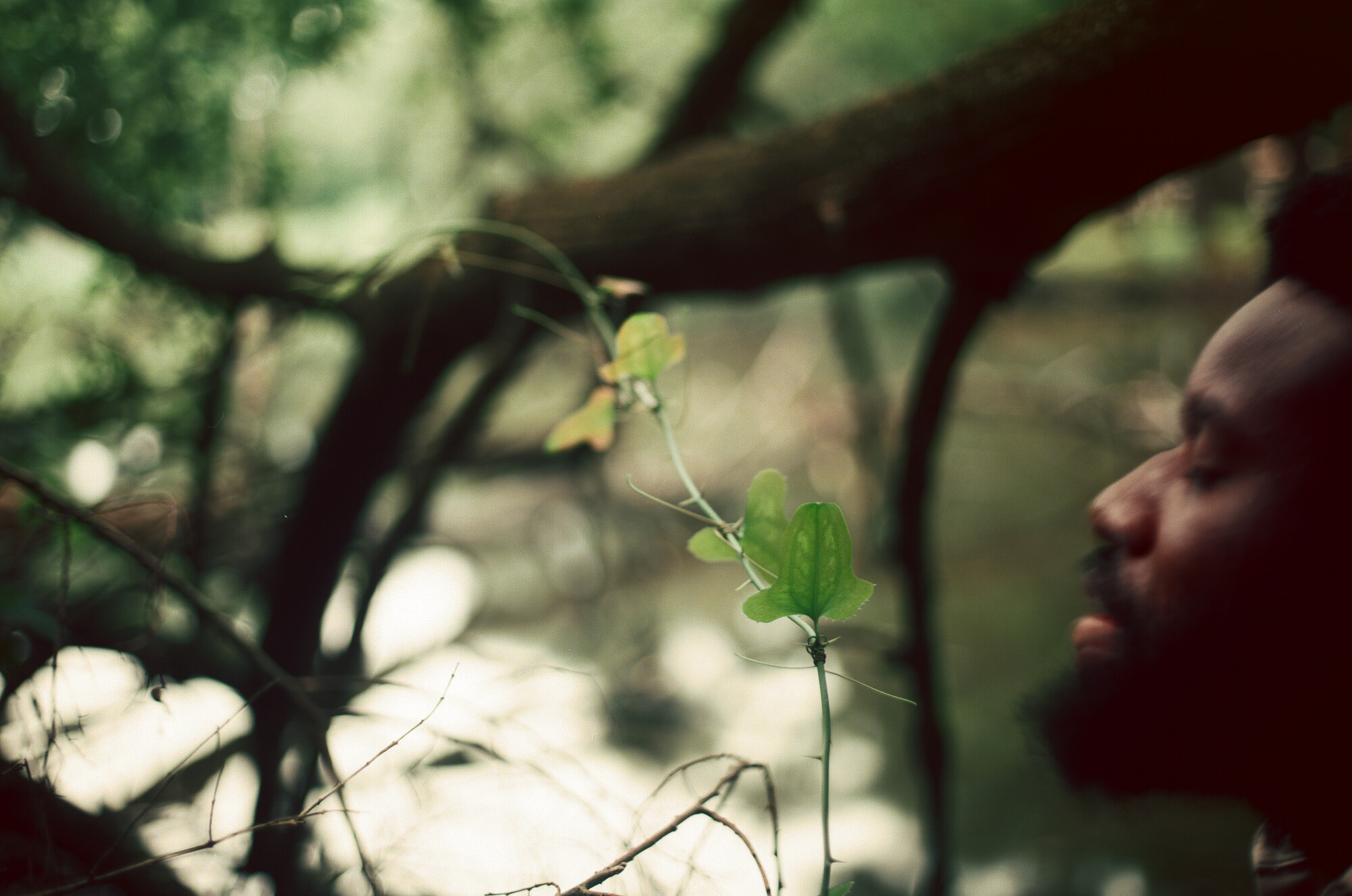 Seeing Meaning: From Pictographs to AI - e-flux Education