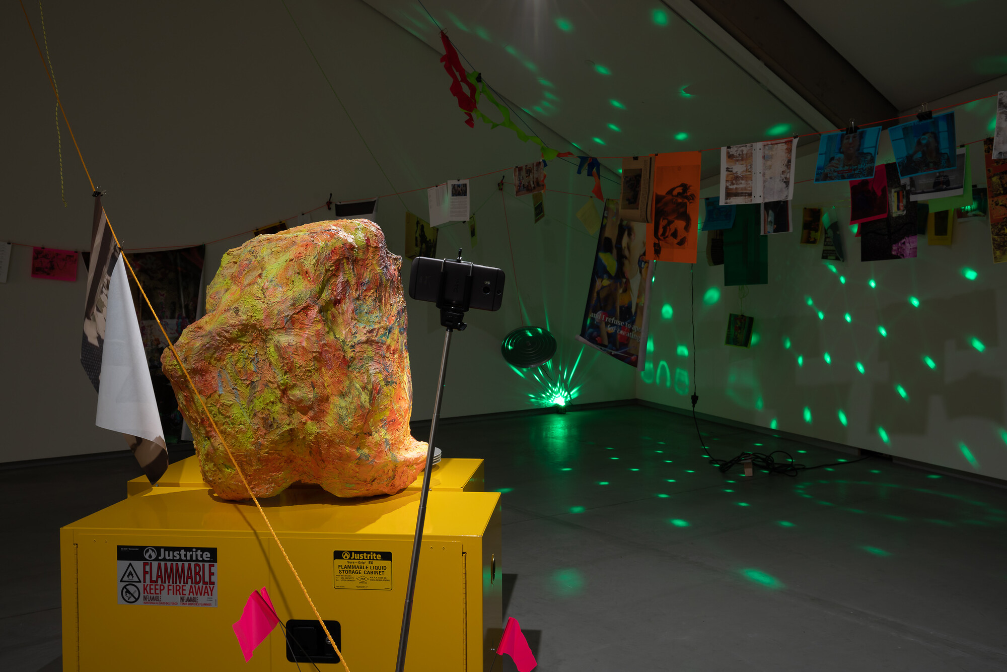 Deborah Goodman Davis and Gerald Davis Lecture: Rachel Harrison - e ...