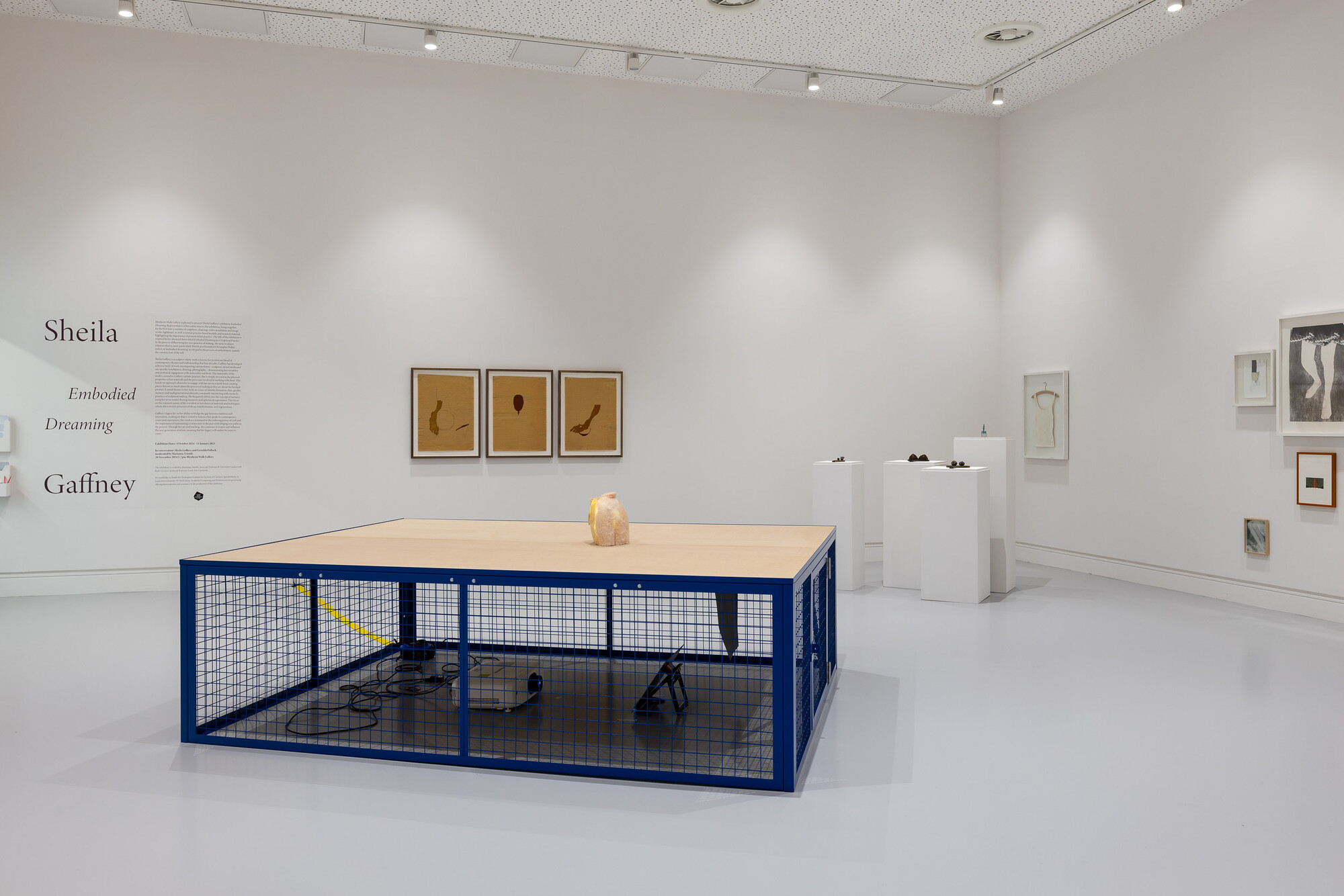 Sheila Gaffney: Embodied Dreaming - e-flux Education