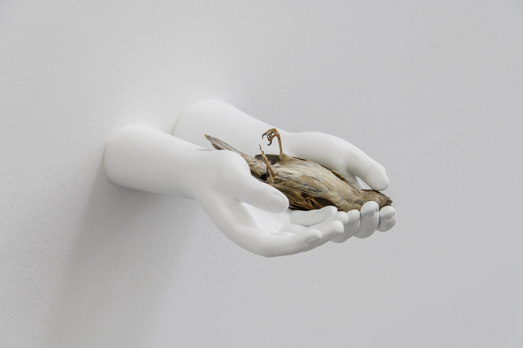 Nurture Gaia - Announcements - e-flux