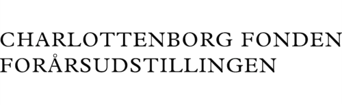 Open call: 2025 Charlottenborg Spring Exhibition - Announcements - e-flux