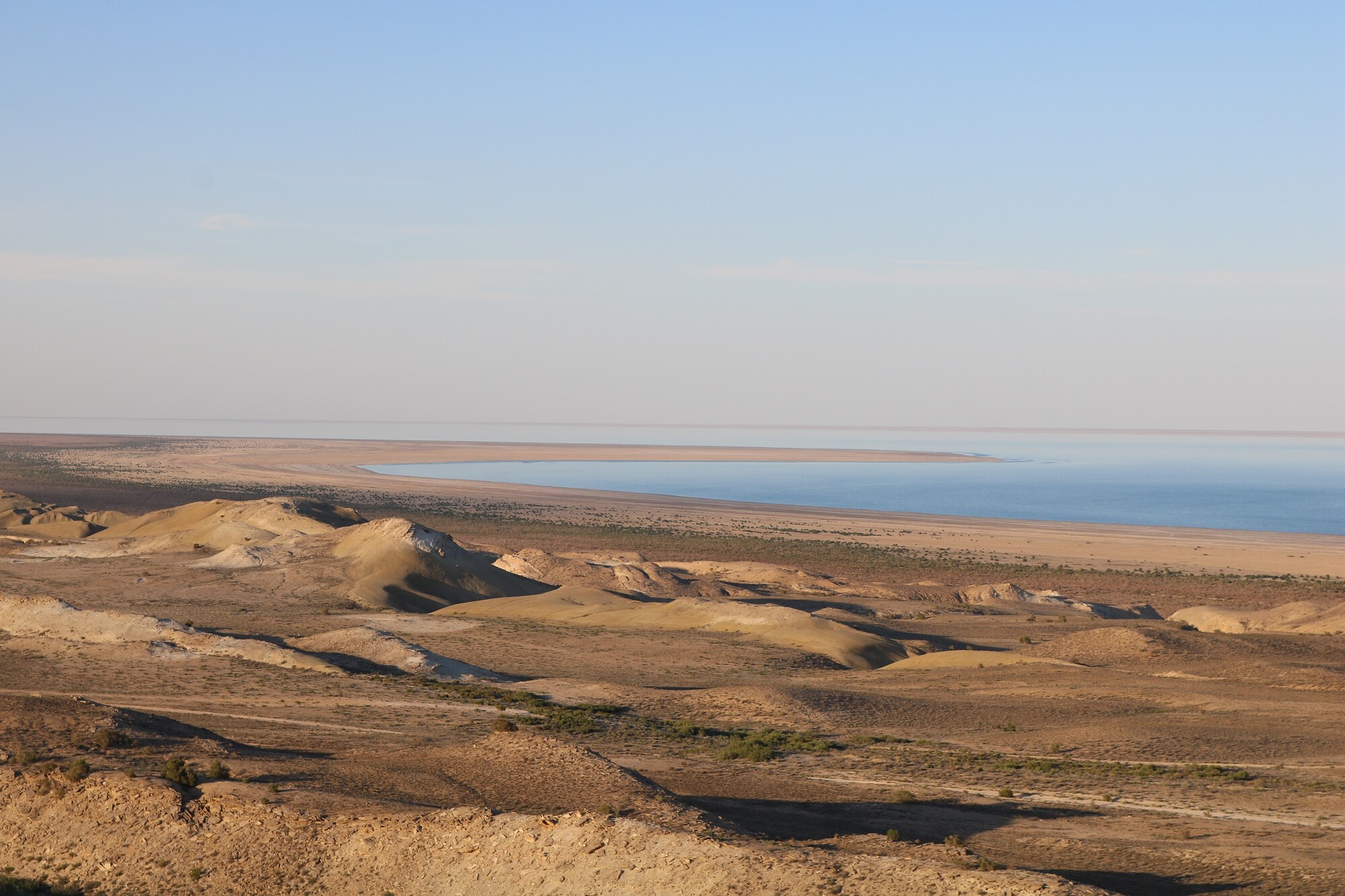 Aral Culture Summit 2025 - Announcements - e-flux