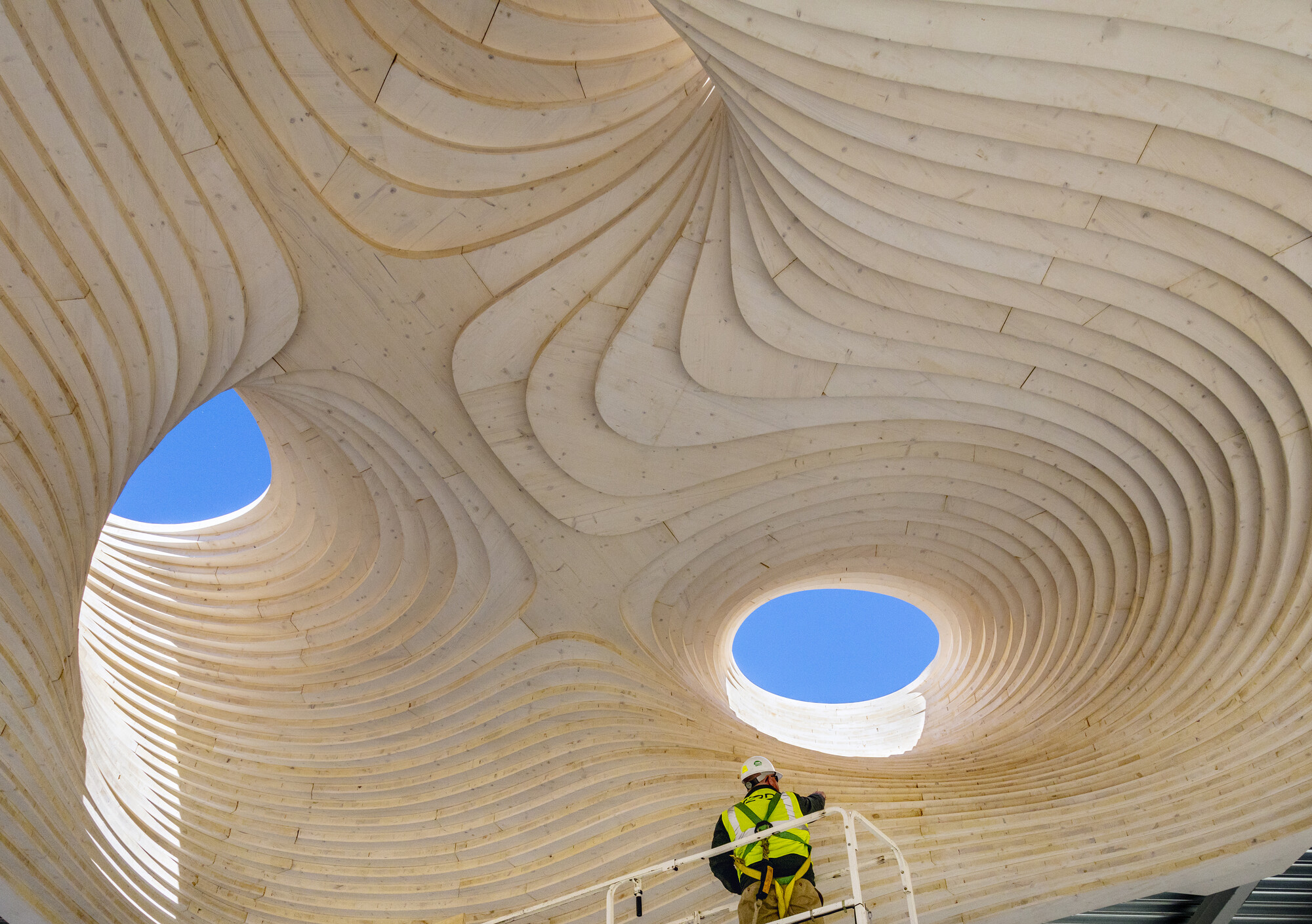 Building a Planetary Solution: Regenerative Architectural Strategies ...