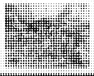 Alejandro Galván: Vultures & Fireflies - Announcements - e-flux