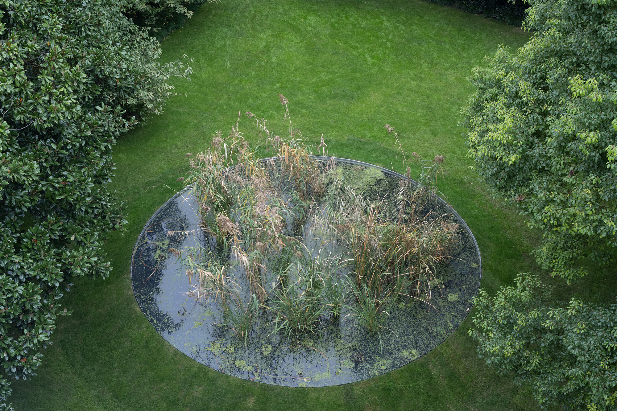 Max Wasserman Forum 2025: Visions of Sustainability - Announcements - e ...