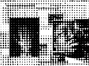 Kenny Fries on Donald Rodney - Criticism - e-flux