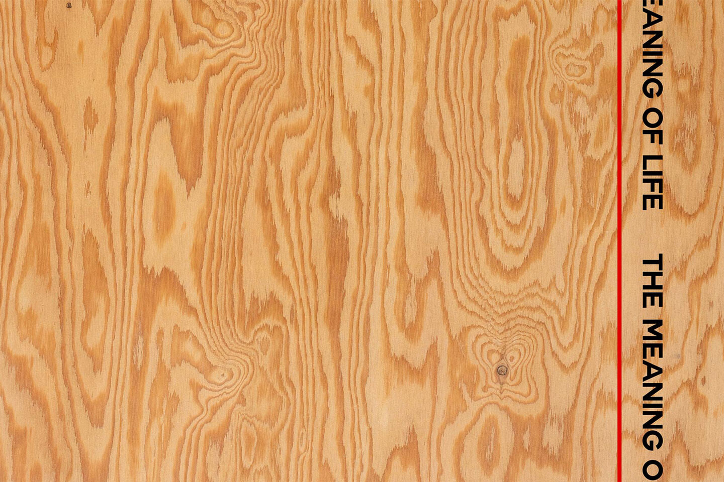 Art Gallery of York University - Directory - e-flux