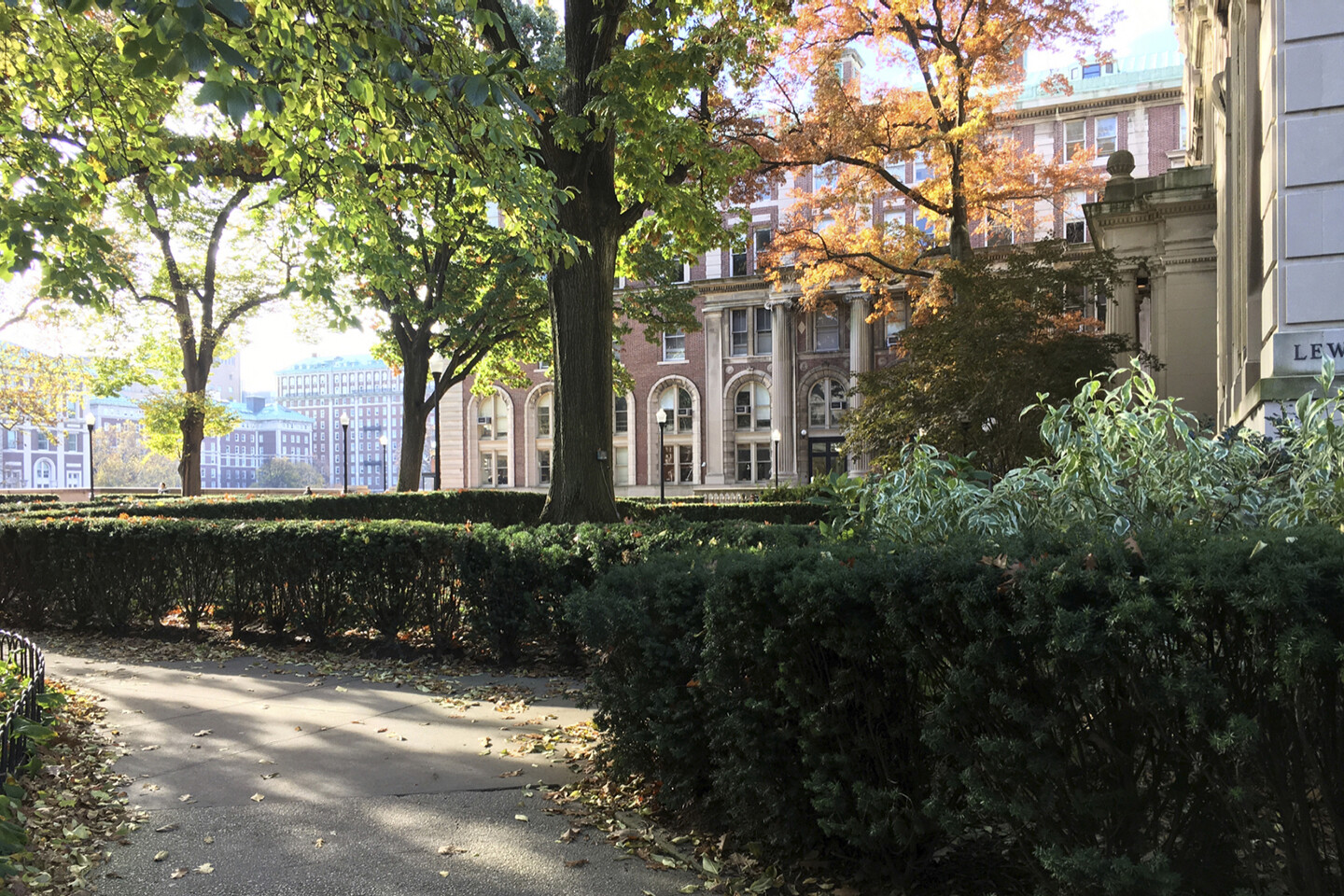 Columbia University School of the Arts - Directory - e-flux