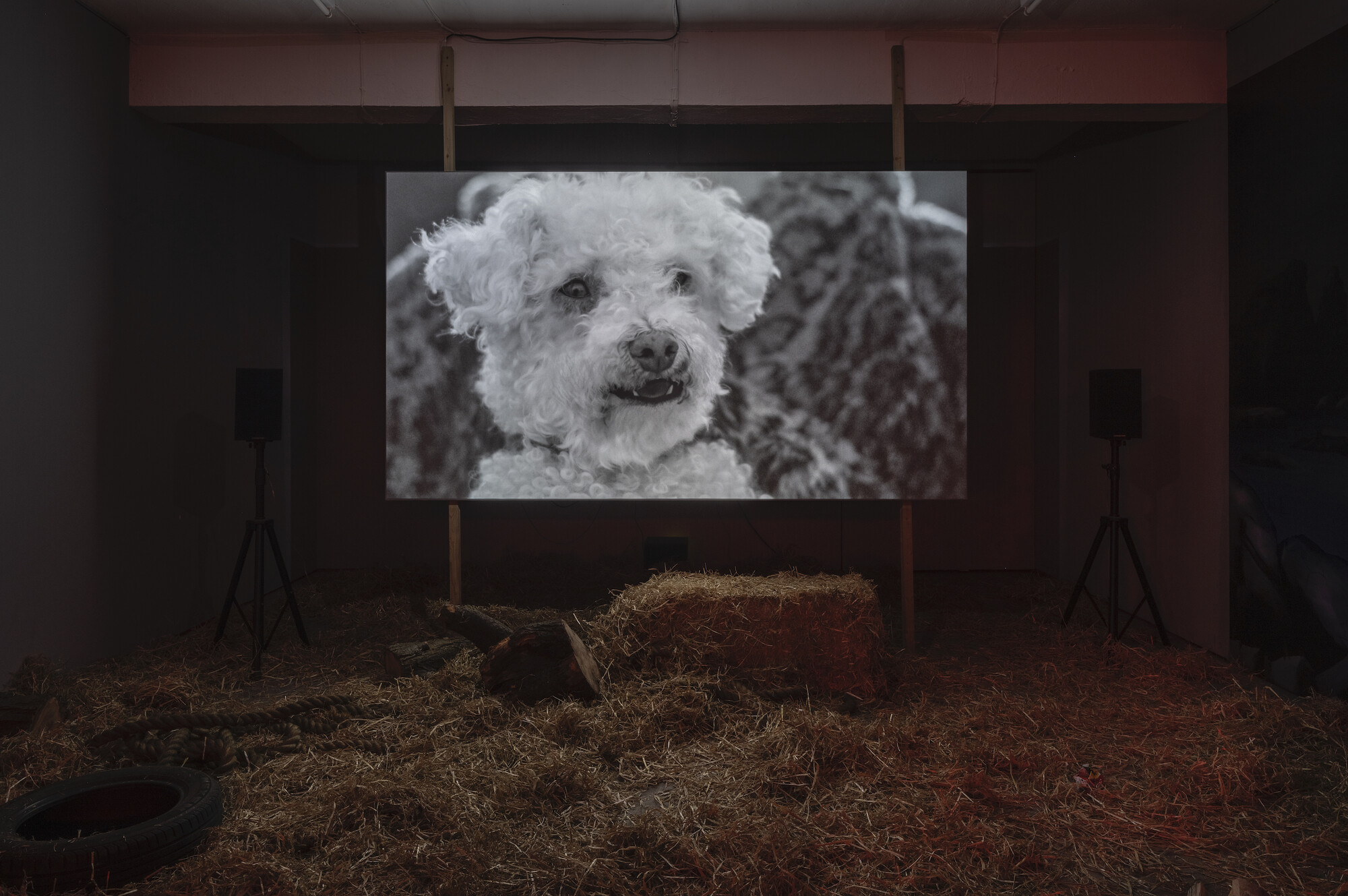 Patrick Goddard’s “Pedigree” - Criticism - e-flux