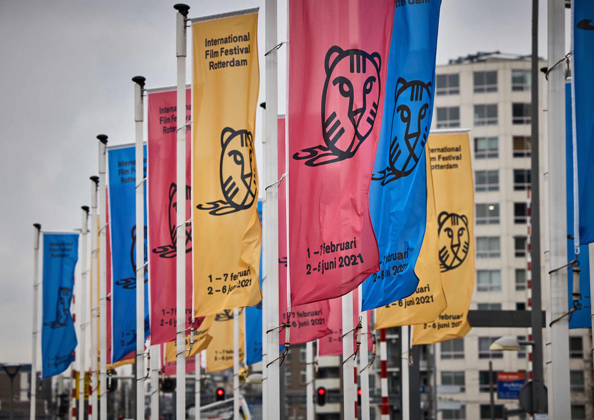 International Film Festival Rotterdam (IFFR) - Directory - e-flux