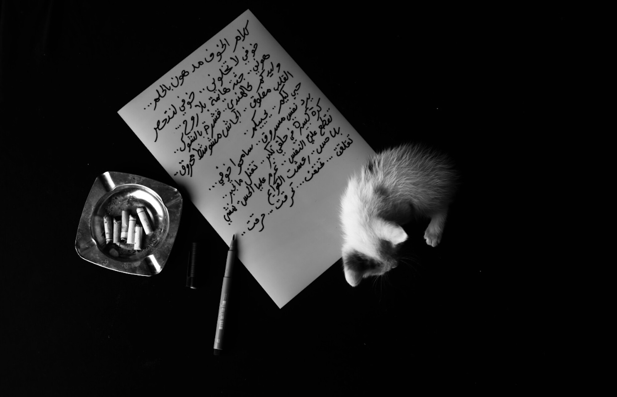 Stephanie Bailey on Jaou Tunis 2024 - Criticism - e-flux