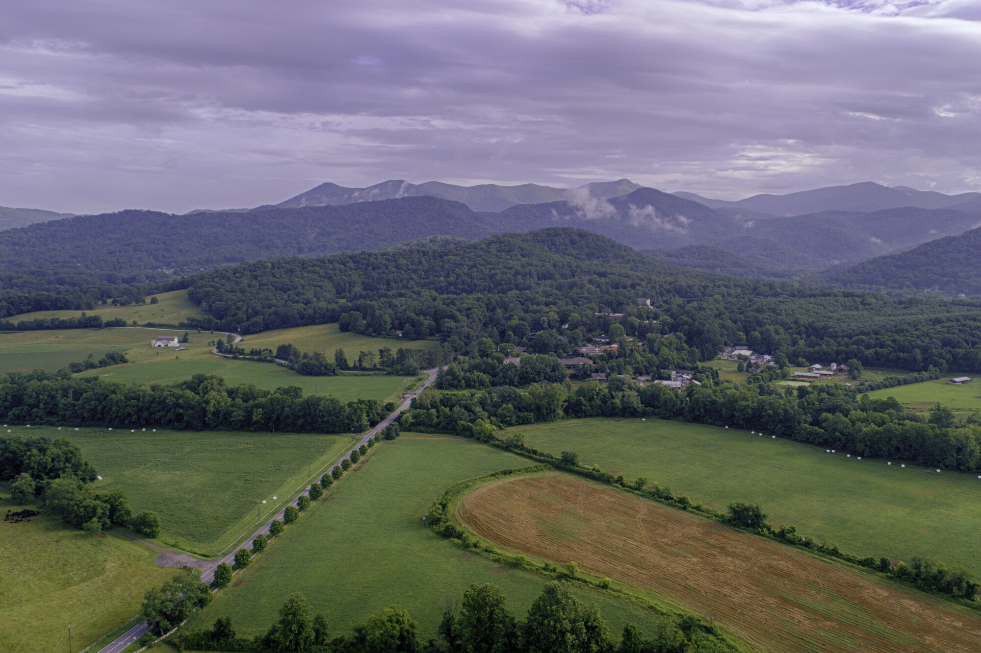 Warren Wilson College - Directory - e-flux