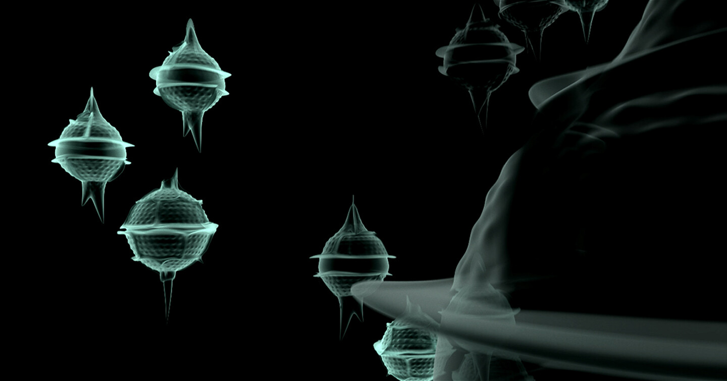 Oceans in Transformation - Astrida Neimanis - The Sea and the Breathing