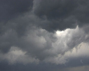 Lani Maestro - Announcements - e-flux