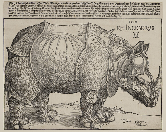 Curiosity: Art and the Pleasures of Knowing - Announcements - e-flux