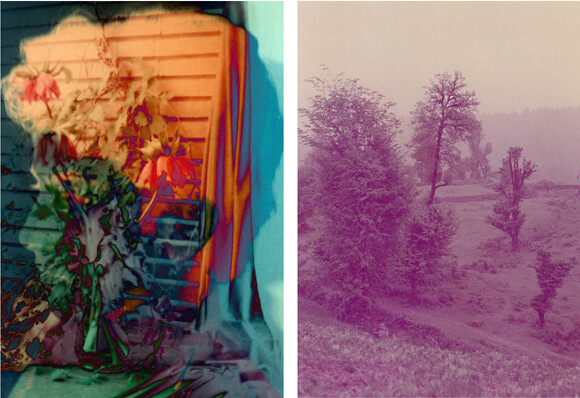 Setareh ShahbaziSpectral Days - Announcements - e-flux