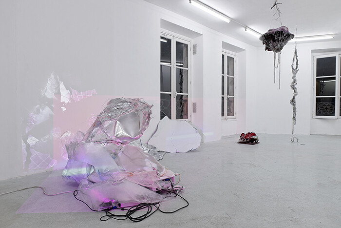 Daiga Grantina’s “Legal Beast Language” - Criticism - e-flux