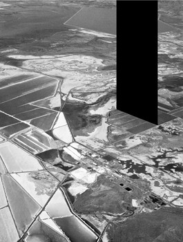 Observed Ratios Shoshana Dentz Caitlin Masely Seher Shah - e-flux Education